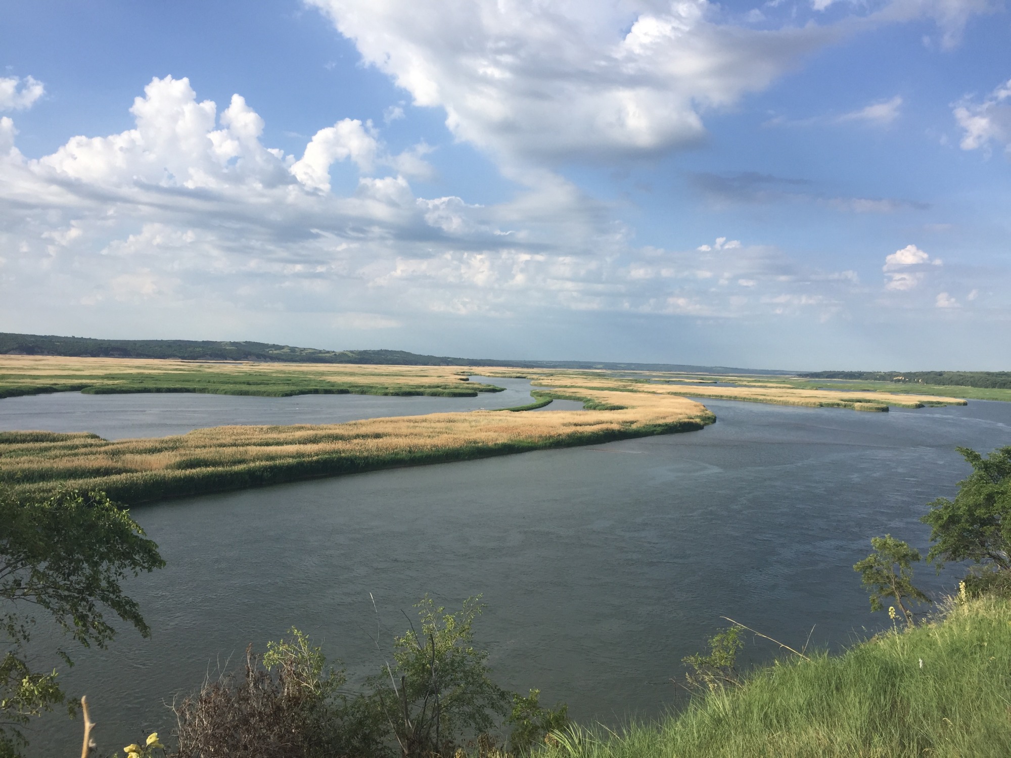 What is happening about the sedimentation in Lewis and Clark Lake ...